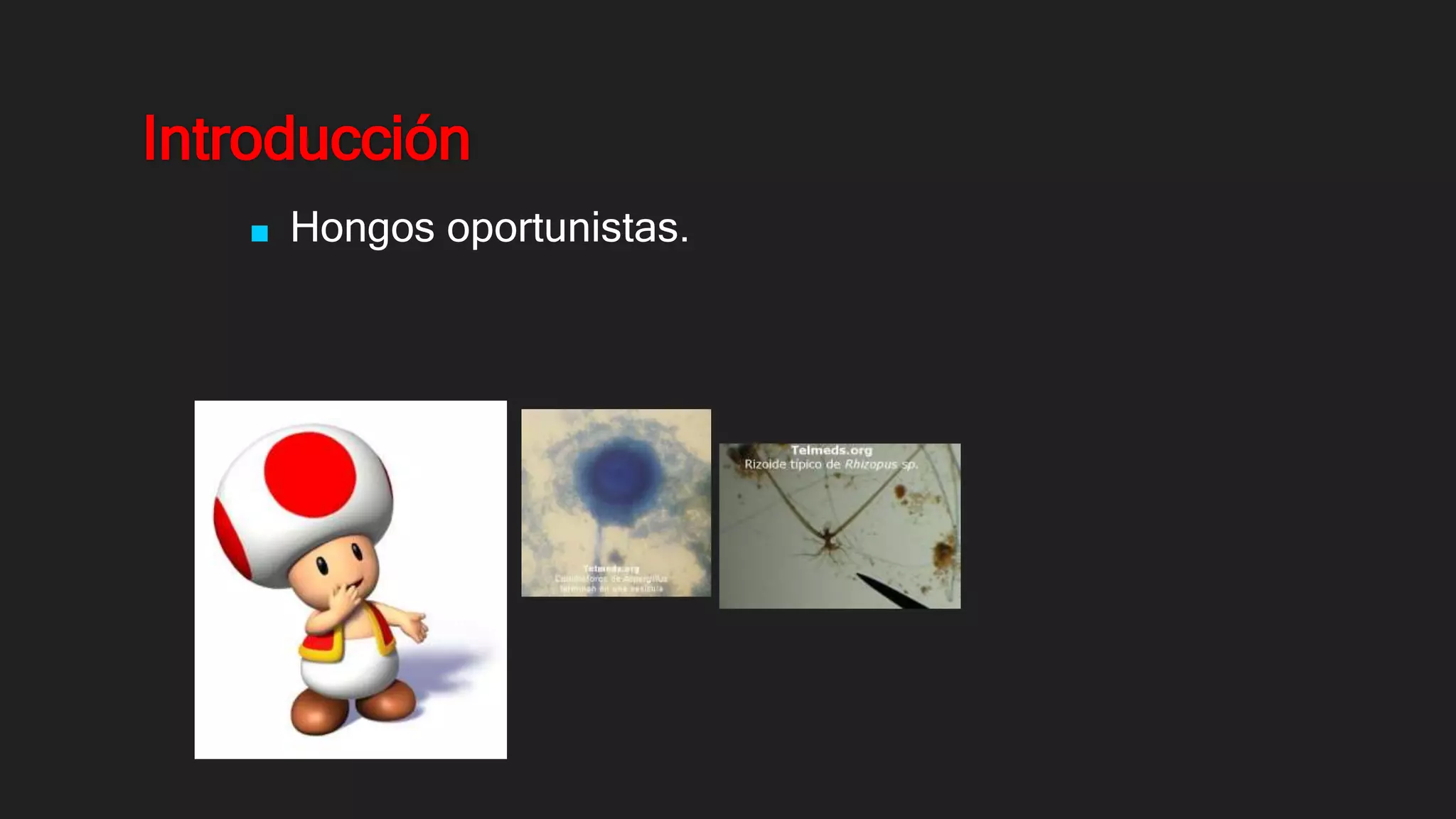 SEMANA 14- ASPERGILOSIS, MUCOR, ZYGOMICOSIS.pptx