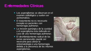 SEMANA 14- ASPERGILOSIS, MUCOR, ZYGOMICOSIS.pptx