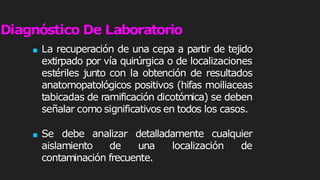 SEMANA 14- ASPERGILOSIS, MUCOR, ZYGOMICOSIS.pptx