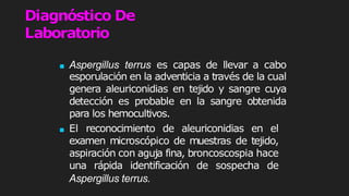 SEMANA 14- ASPERGILOSIS, MUCOR, ZYGOMICOSIS.pptx