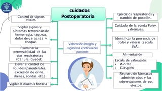 SEMANA 14 ENF DIGESTIVAS.pdf y enfermedades | PDF
