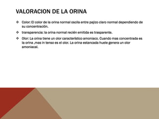 ELIMINACION VESICAL . DIAPOSITTIVAS .... | PDF
