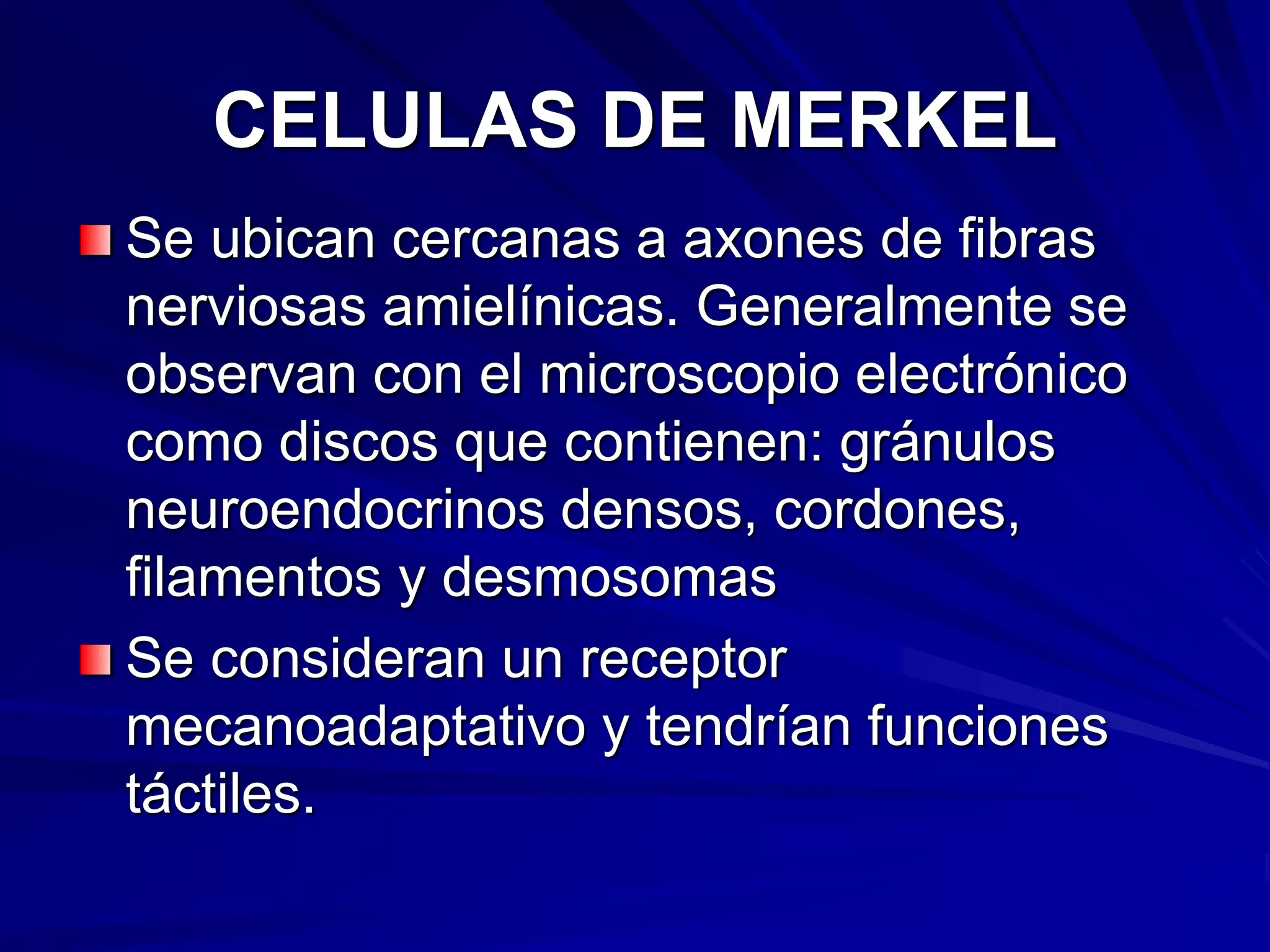 semana 1 anatomía y fisiología.ppt