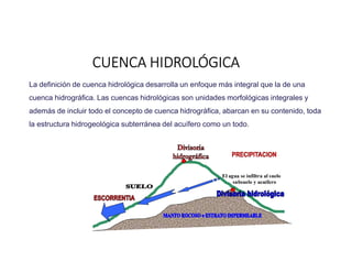 Manejo de cuencas hidrográficas Introducción | PDF