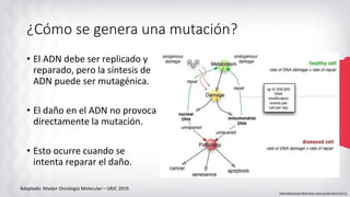 SEMANA 2 - BASES MOLECULARES Y CELULARES DEL PROCESO DE ONCOGENESIS.pdf