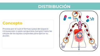 semana 2 FARMACOCINÉTICA (1).pptx