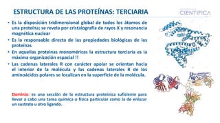 SEMANA 3 Estructura de las Proteínas J de León.pptx