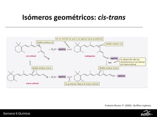 Isomeria quimica tipos de isomeros isome | PDF