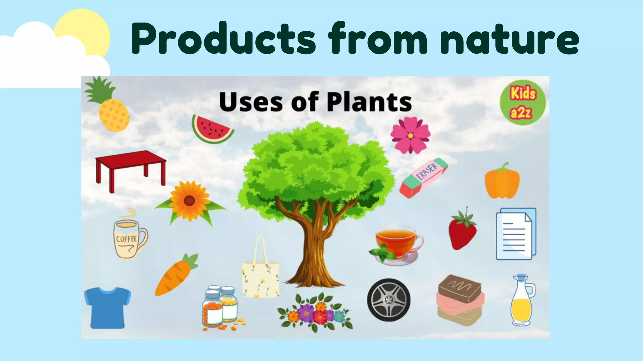 Semana 5 - Natural Resources.pdf