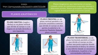 SEMANA 5-Planos y regiones Anatomicas.pptx