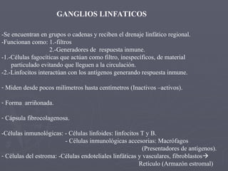 SEMANA 8 CLASE 1 TEJIDO LINFOIDE. trabajo de ppt | PPT