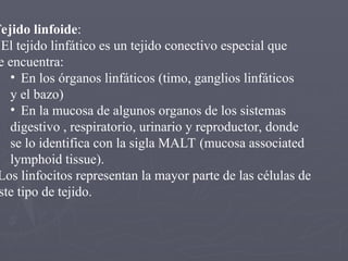 SEMANA 8 CLASE 1 TEJIDO LINFOIDE. trabajo de ppt | PPT