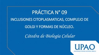 Semana 9 Inclusiones Citoplasmáticas y Formas de Núcleo.pdf
