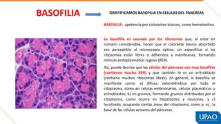Semana 9 Inclusiones Citoplasmáticas y Formas de Núcleo.pdf