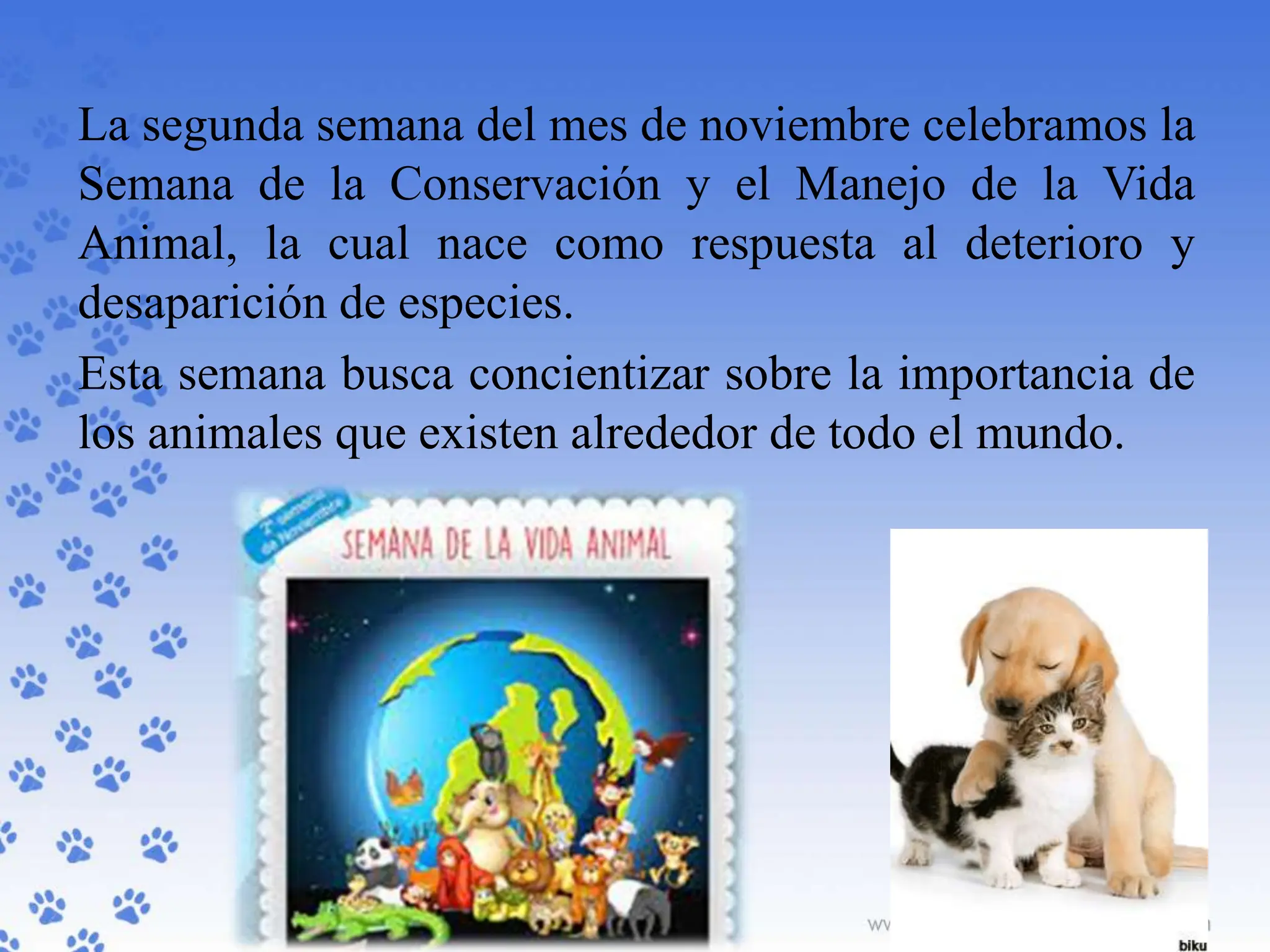 Semana de la vida animal y extincion de animales de Perú.ppsx