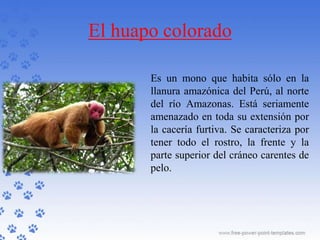 Semana de la vida animal y extincion de animales de Perú.ppsx