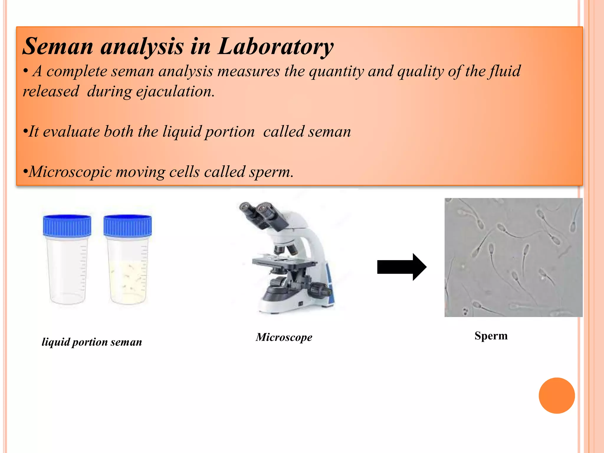 Seman analysis part 2 | PPT