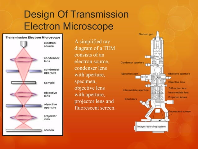 Sem and tem | PPTX