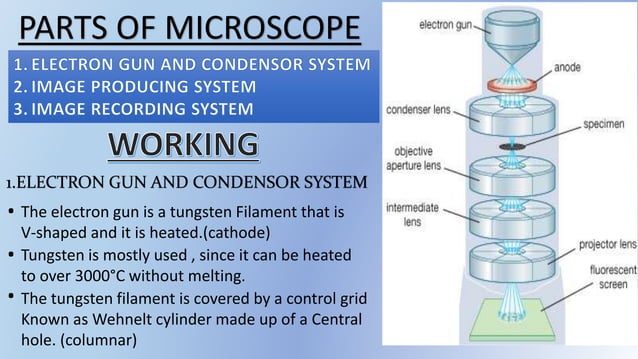 Scanning and transmission electroscopy.pptx