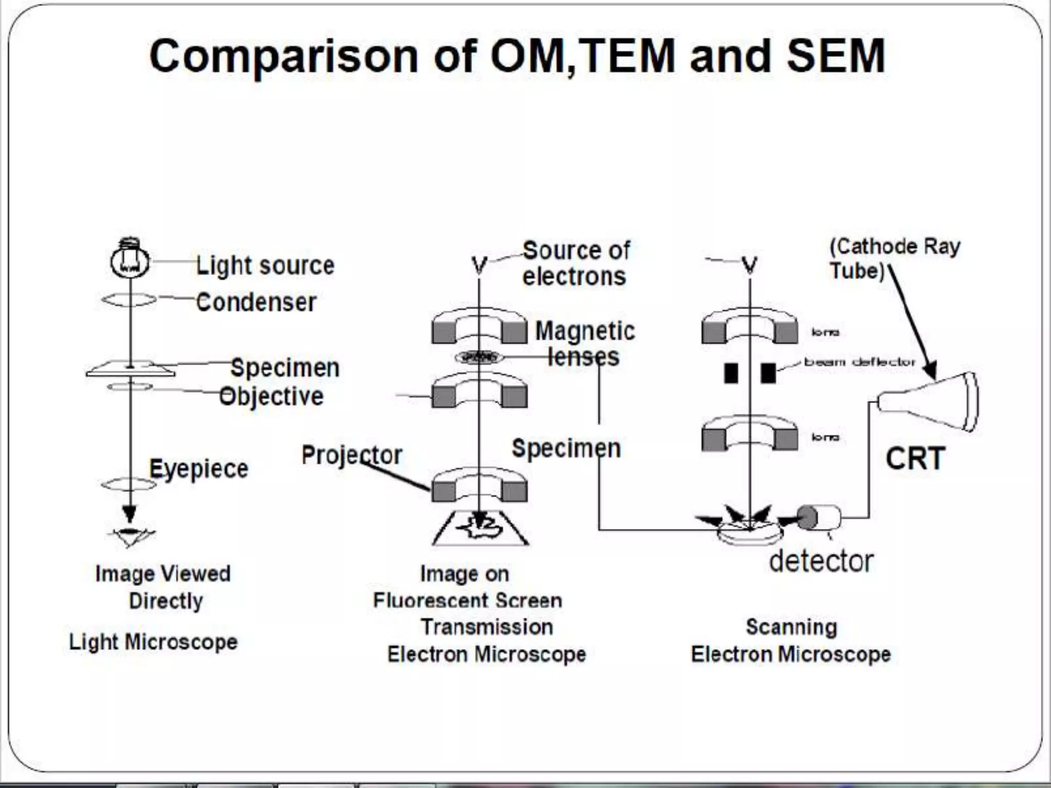 Scanning and Transmission Electron Microscope | PPTX | Chemistry | Science