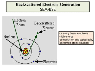 Scanning and Transmission Electron Microscope | PPTX
