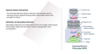 SEM and TEM Principles_ Operation & Working with Schematics (1).pdf