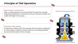 SEM and TEM Principles_ Operation & Working with Schematics (1).pdf