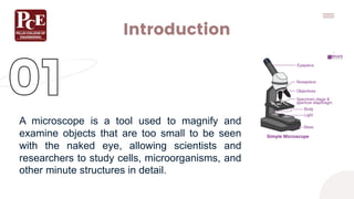 SEM and TEM Principles_ Operation & Working with Schematics (1).pdf