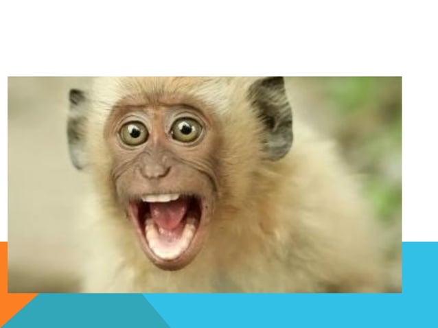 Semangat tahun baru, Semangat Perubahan | PPT