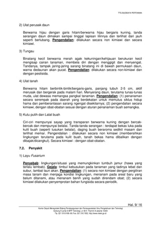 Budidaya Menanam Semangka | PDF