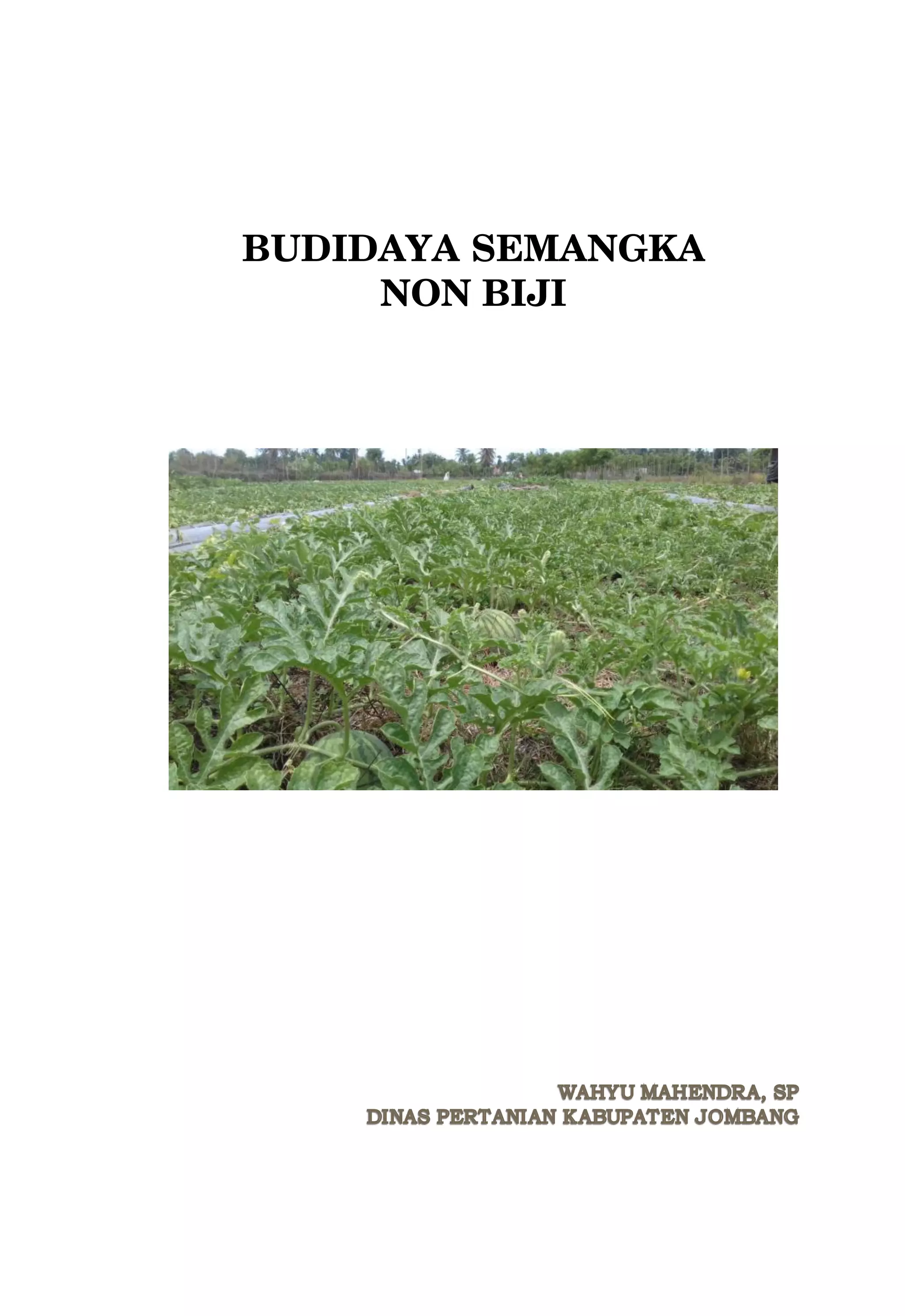 Semangka non biji | PDF