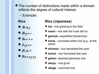 Semantic domain.ppt reyna | PPT