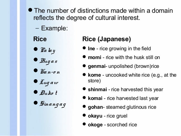 Semantic domain.ppt reyna