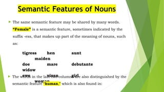 SSSSSSSSSSSSSSSSEMANTIC FEATURES AND GRAMMAR.pptx