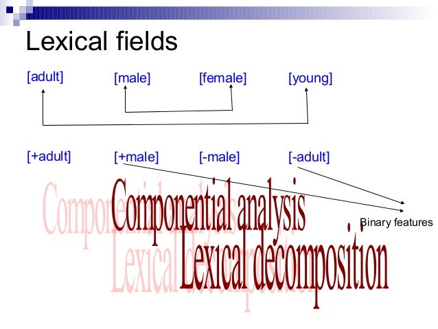 Semanticfieldtosemanticchange