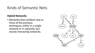 Semantic Networks | PPTX