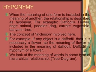 Semantics | PPT
