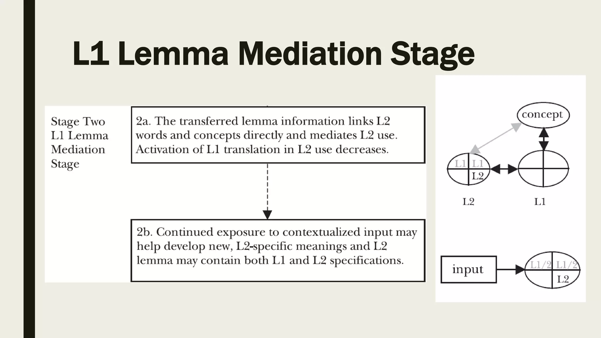 Semantic Transfer & L2 Vocabulary Acquisition | PPTX
