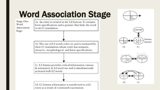 Semantic Transfer & L2 Vocabulary Acquisition | PPTX | Education