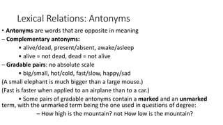 Semantics | PPT