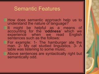 Semantics Introduction By Riaz | PPT