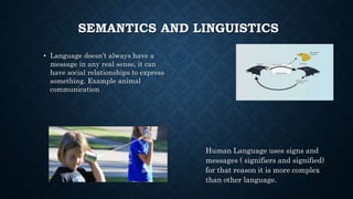 Semantics and meaning | PPTX