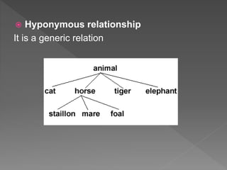 Semantics and teaching vocabulary | PPTX | Education