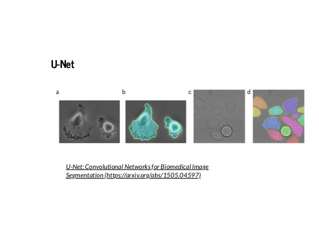 Semantic Segmentation - Fully Convolutional Networks for Semantic Seg…
