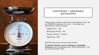 Semantics iii relationships between words | PDF