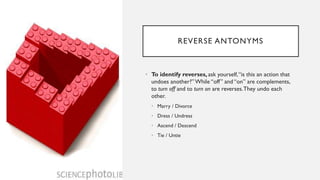 Semantics iii relationships between words | PDF