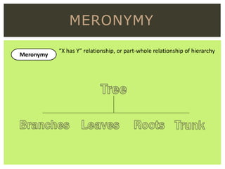Semantics Meaning Components | PPTX