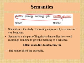 Semantic vs Pragmatics | PPT