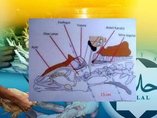 sembelihan_halal.pptx