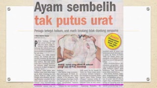 Sembelihan Mengikut Syara' | PPTX